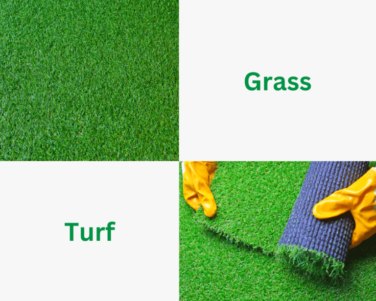 Soccer Field vs Football Field: A Complete Guide