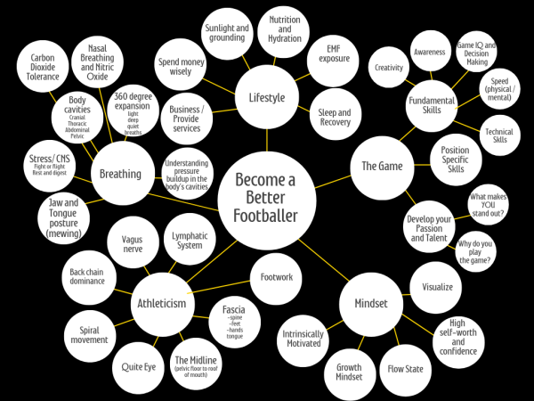 Home - the Art of Football