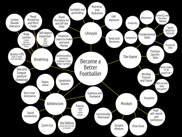 Home - the Art of Football
