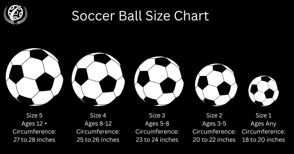 What Size Soccer Ball do I Need? Soccer Ball Sizes Explained